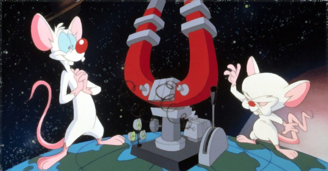 Pinky E O Cérebro: Como A Intromissão Da Rede Matou O Desenho Animado ...
