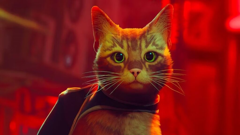 Stray Está Recebendo Uma Adaptação Para Filme De Animação | UnicórnioHater