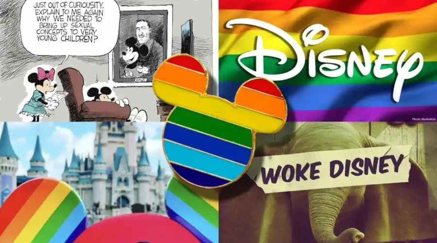 A Morte Do Capitalismo Woke E O Desespero Da Disney | UnicórnioHater